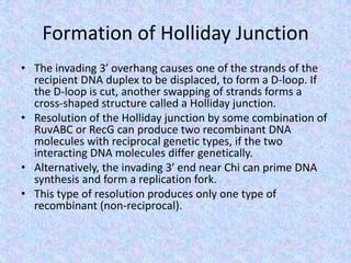 Biology of homologous recombination in bacteria | PDF
