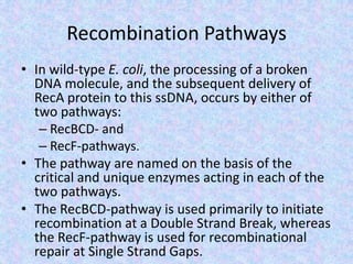 Biology of homologous recombination in bacteria | PDF