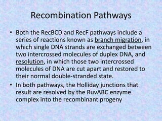 Biology of homologous recombination in bacteria | PDF
