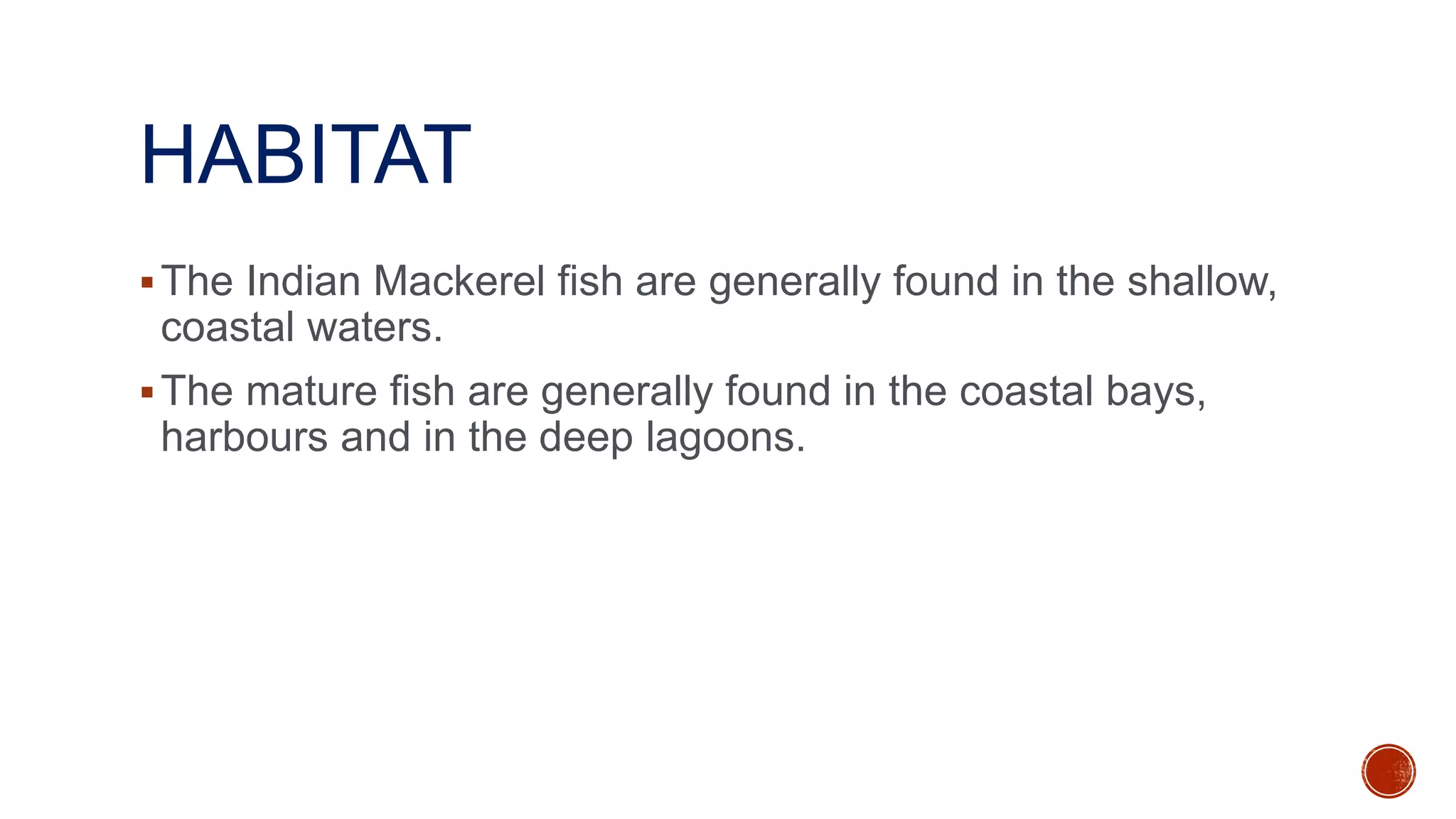 Biology of Indian Mackeral.pptx