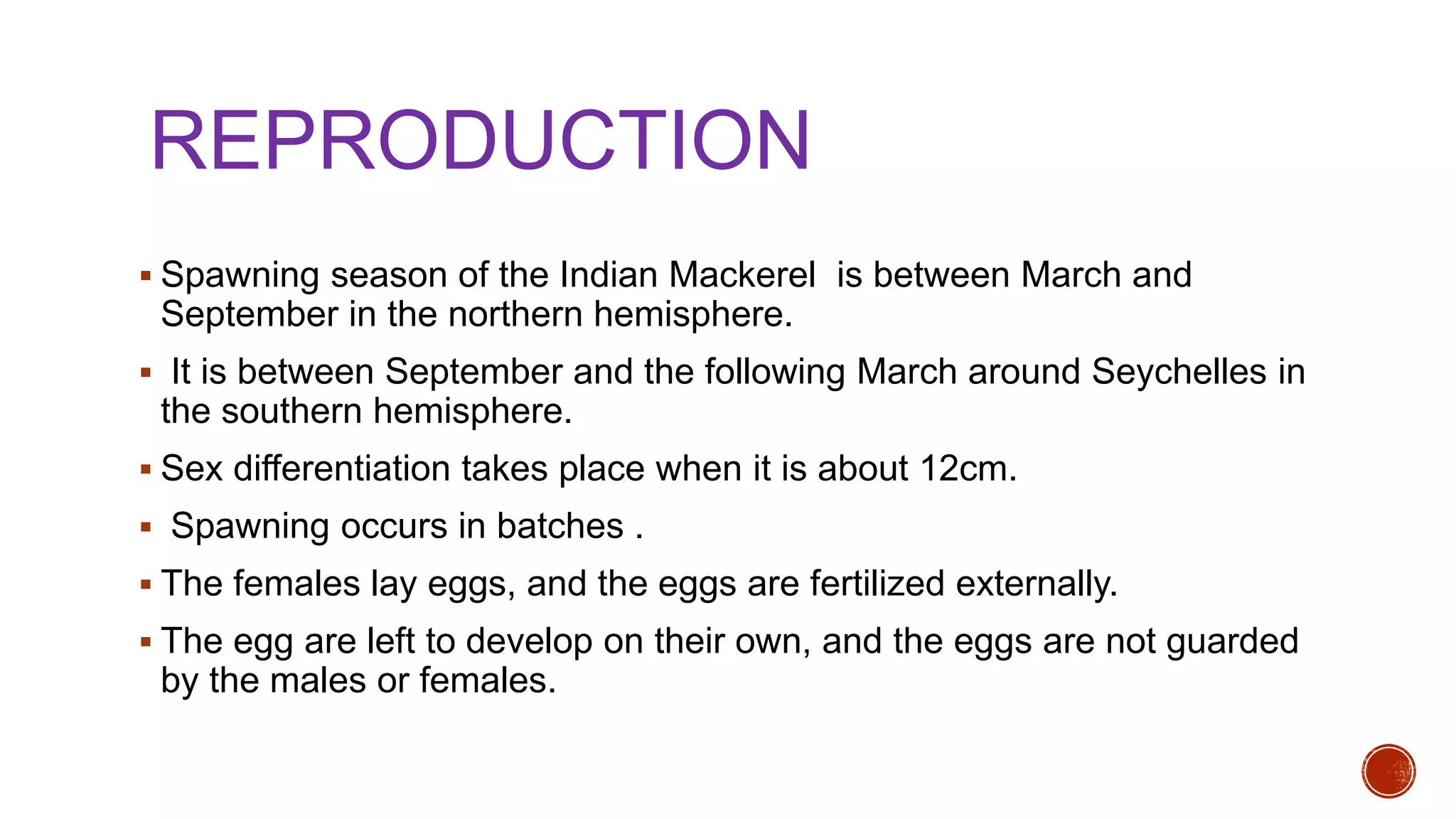 Biology of Indian Mackeral.pptx