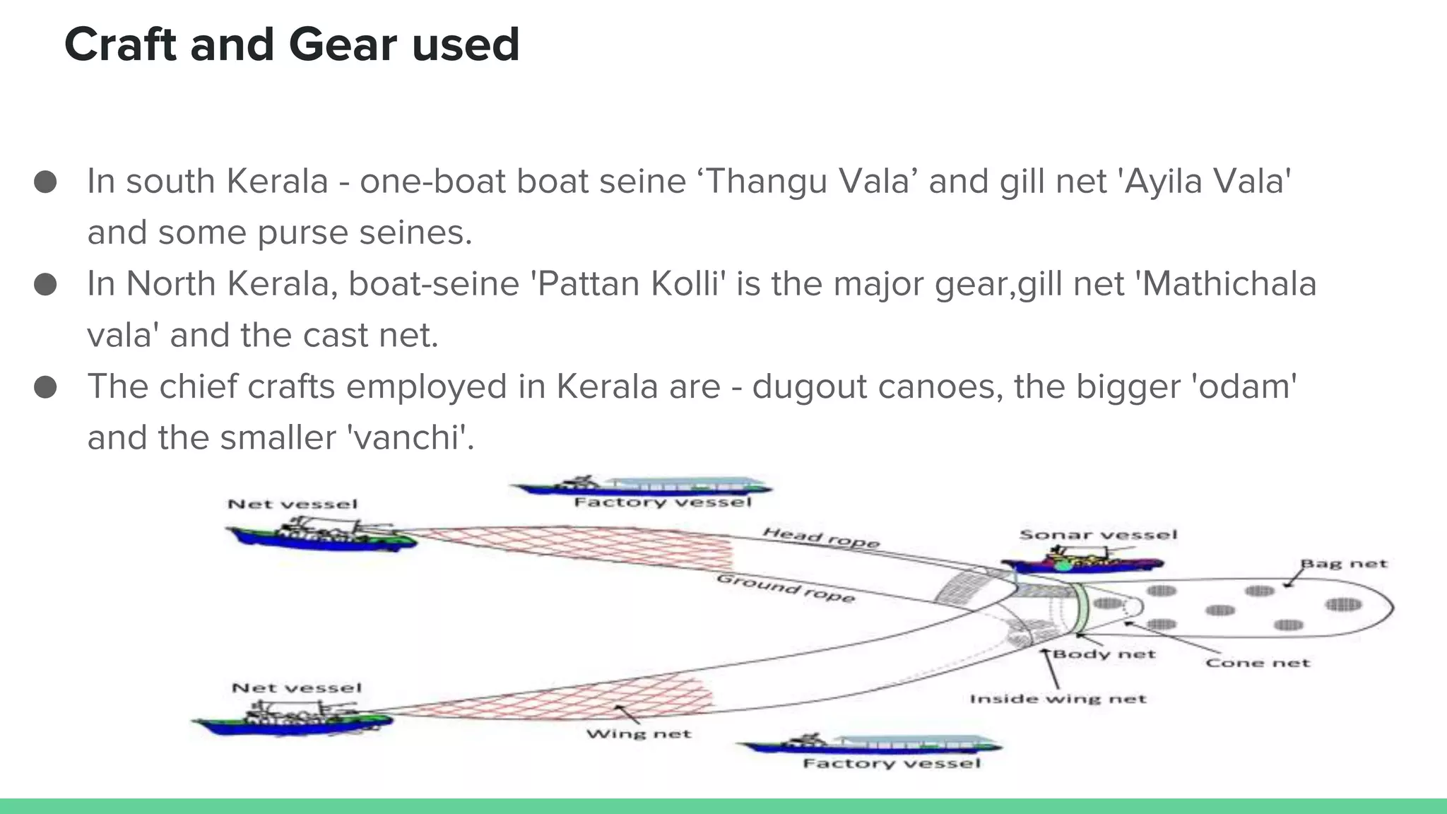 BIOLOGY OF INDIAN OIL SARDINE.pptx
