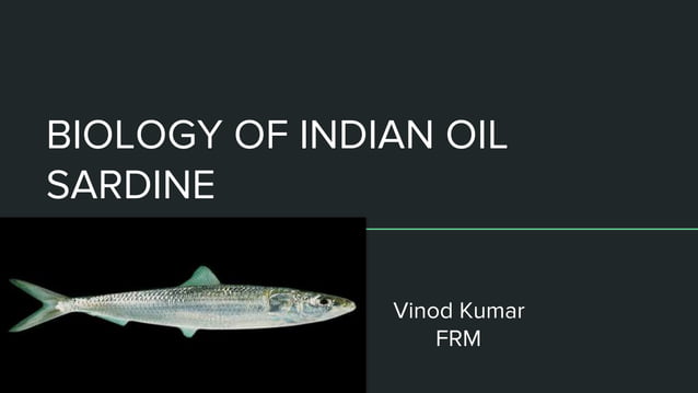 BIOLOGY OF INDIAN OIL SARDINE.pptx | Fishing Sports | Sports