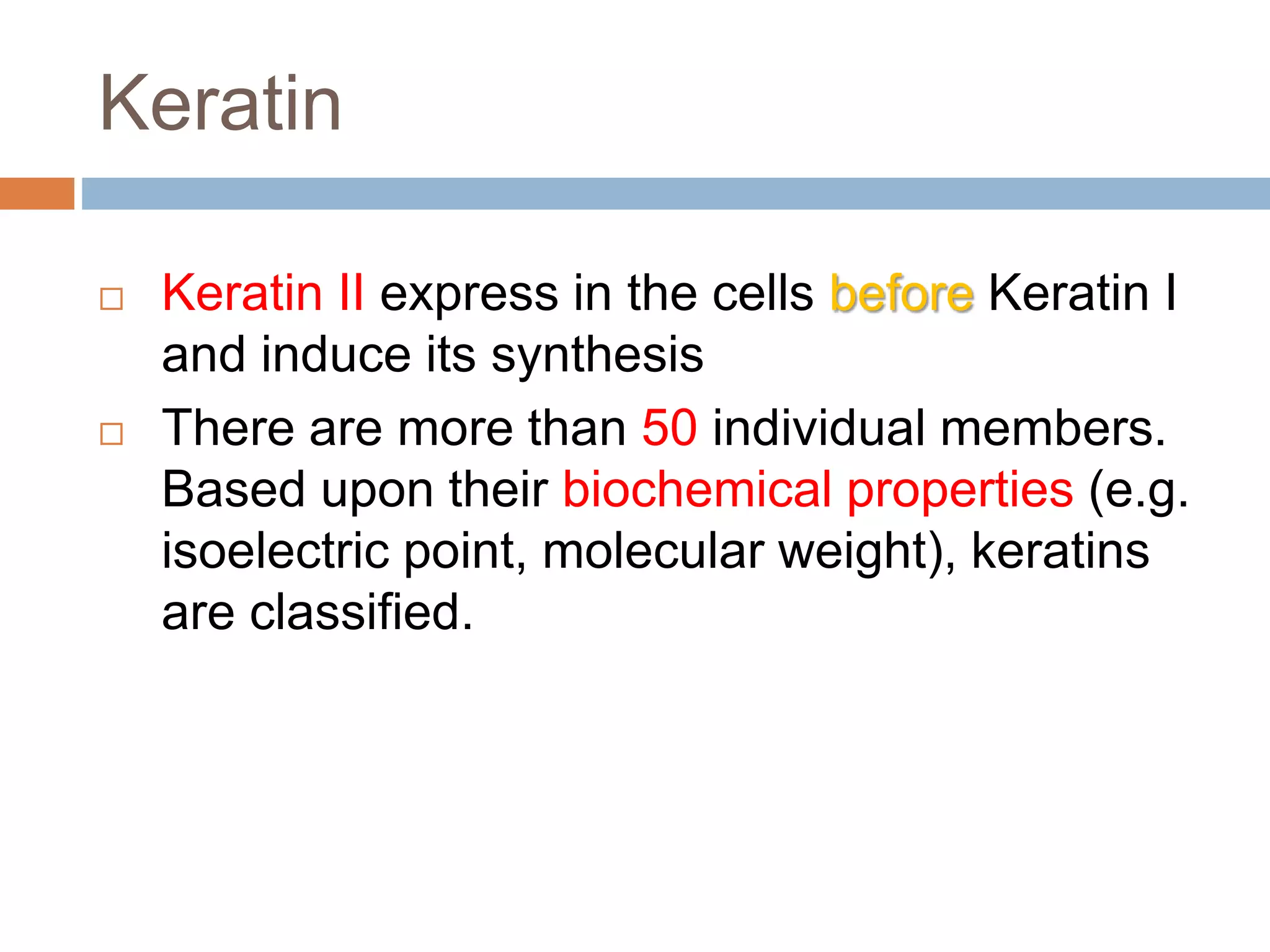 Biology of keratinocytes | PPTX