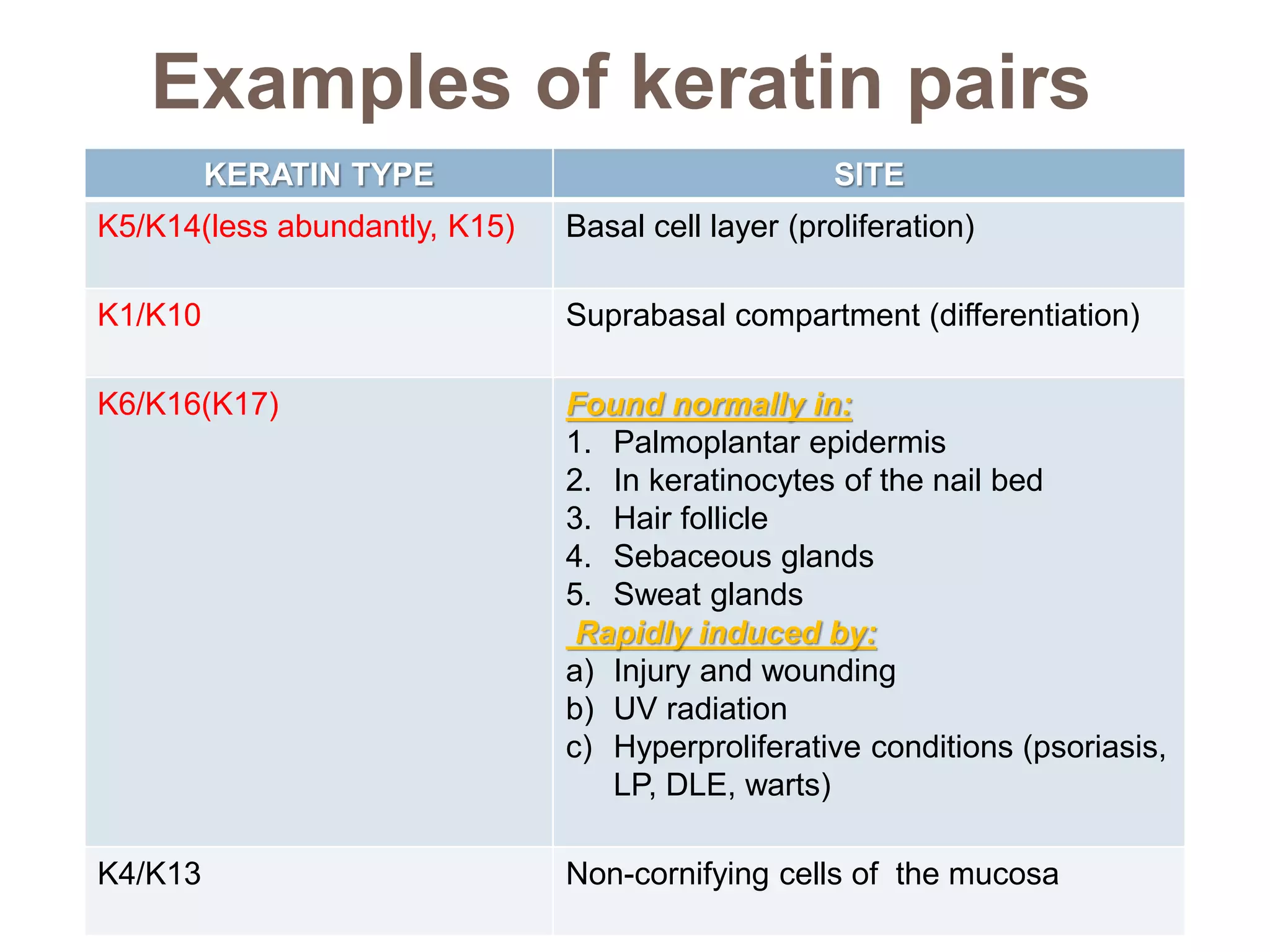 Biology of keratinocytes | PPTX