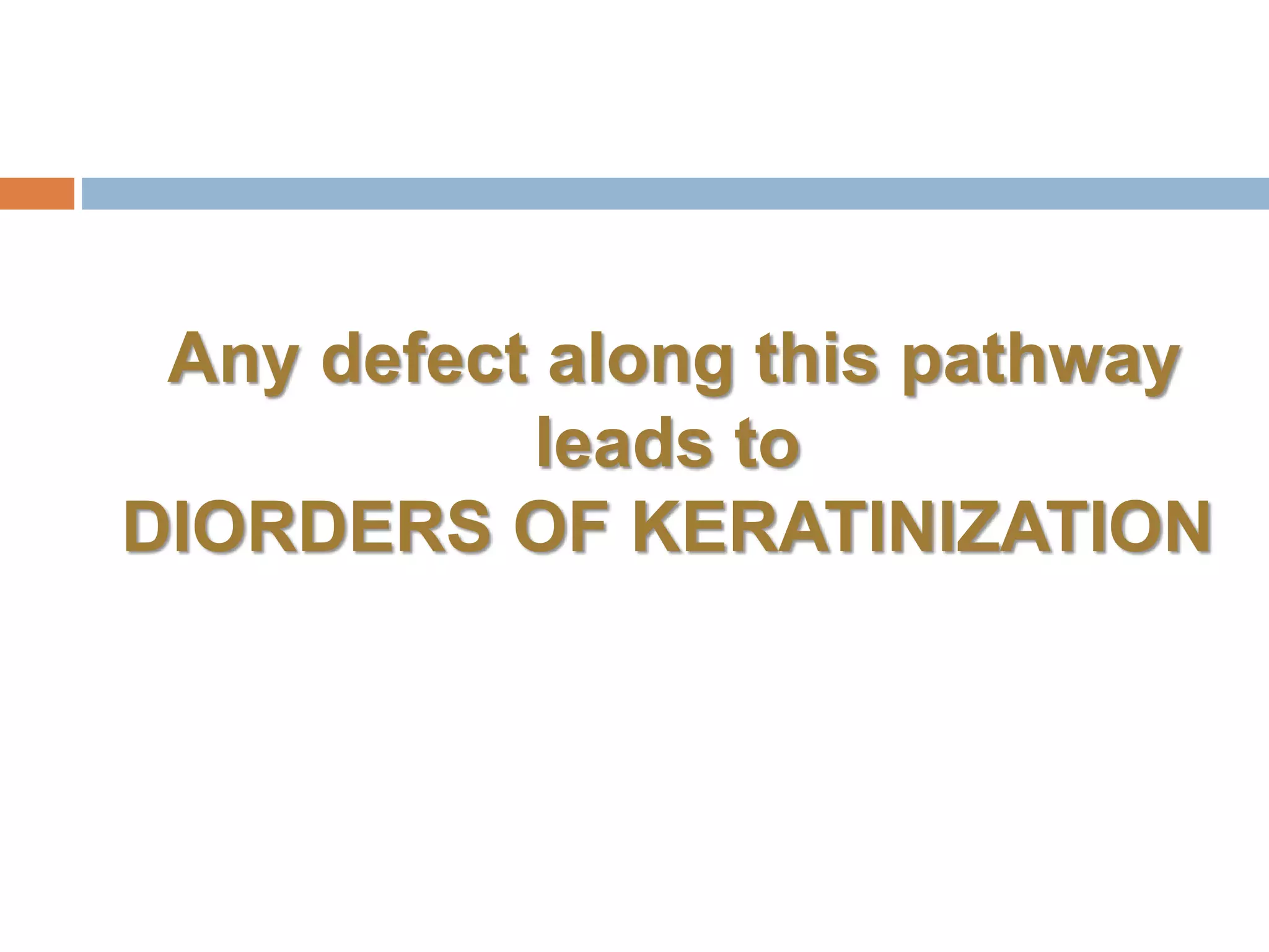 Biology of keratinocytes | PPTX