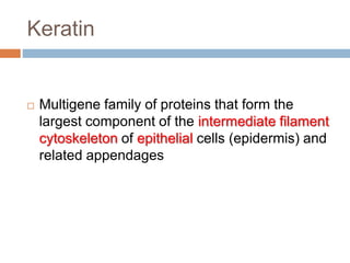 Biology of keratinocytes | PPTX