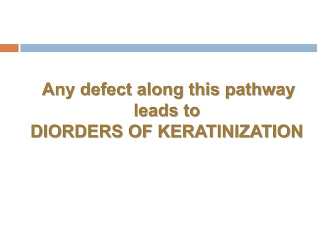 Biology of keratinocytes | PPTX | Skin and Dermatology | Diseases and ...