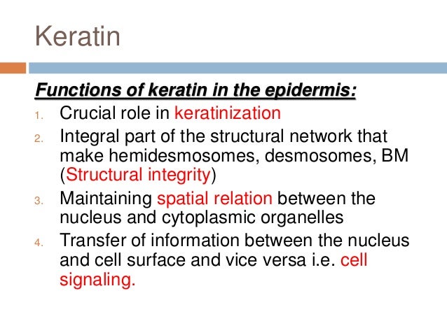 Biology of keratinocytes