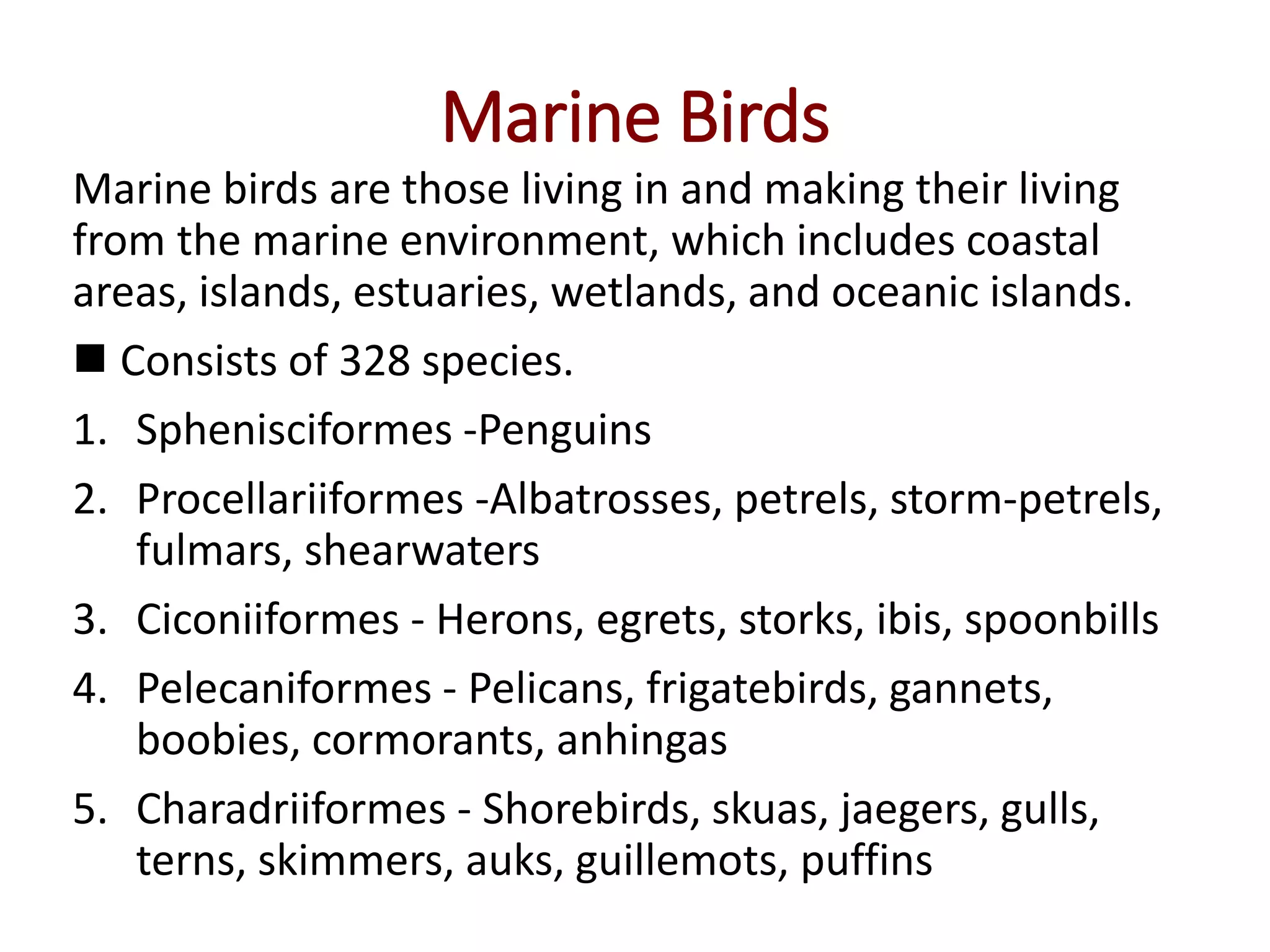 Biology of Marine Birds.pptx