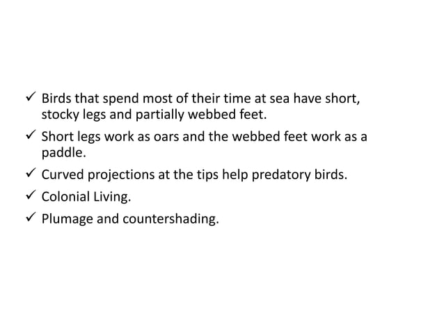 Biology of Marine Birds.pptx