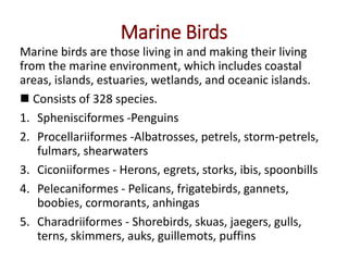 Biology of Marine Birds.pptx