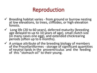 Biology of Marine Birds.pptx