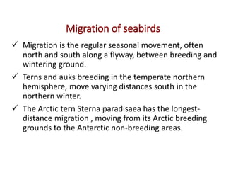 Biology of Marine Birds.pptx