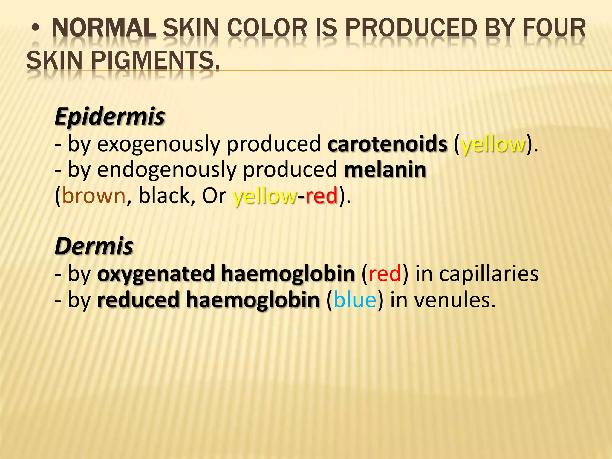 Biology of Melanocyte | PPTX