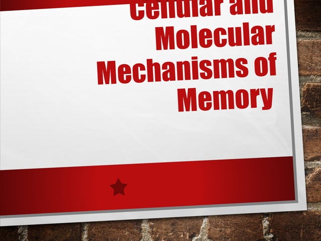 Neurobiology of memory | PPT