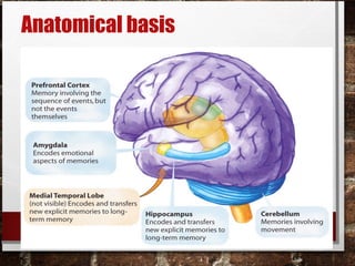 Neurobiology of memory | PPT