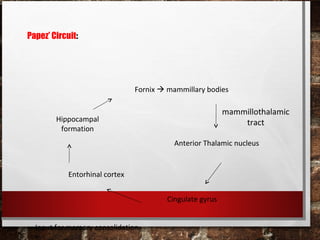 Neurobiology of memory | PPT