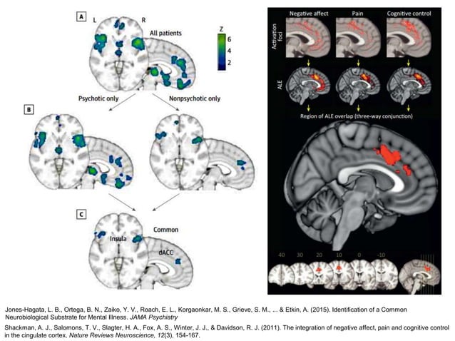 The Biology of Mental Illness | PPT