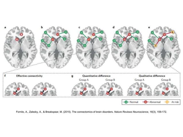 The Biology of Mental Illness | PPT