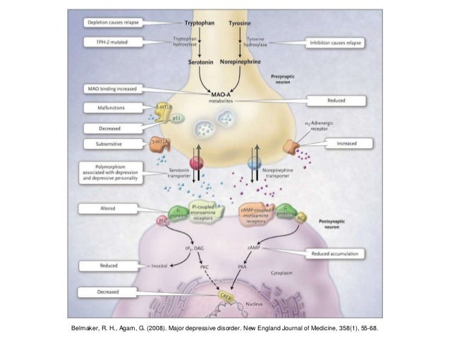 The Biology of Mental Illness