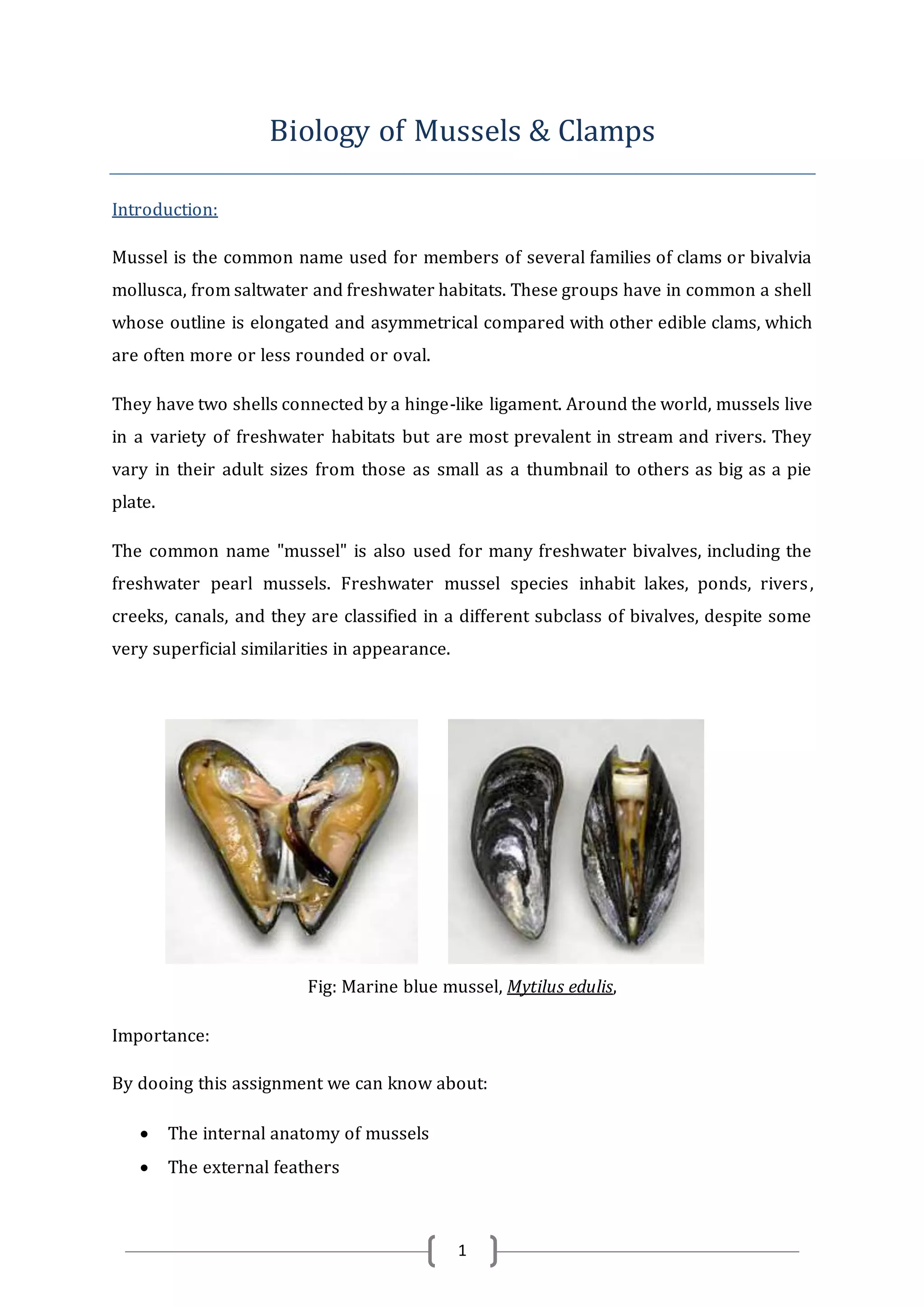 Biology of mussels & Camps | DOCX
