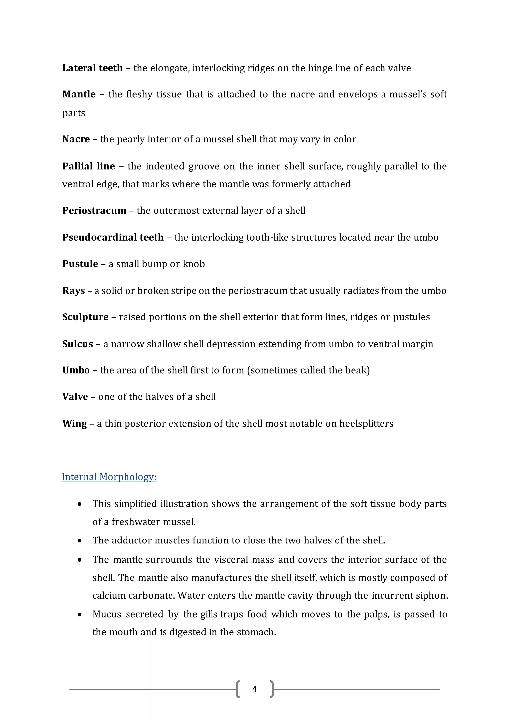 Biology of mussels & Camps | DOCX