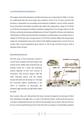 Biology of mussels & Camps | DOCX