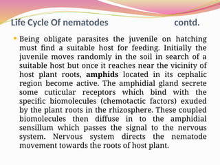 Discription of the biology of nematodes.pptx