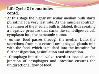 Discription of the biology of nematodes.pptx