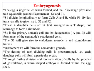 Biology of Plant parasitic Nematodes .pptx