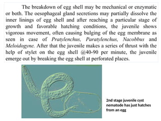 Biology of Plant parasitic Nematodes .pptx