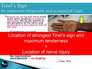 Biology of nerve injury and repair | PPTX
