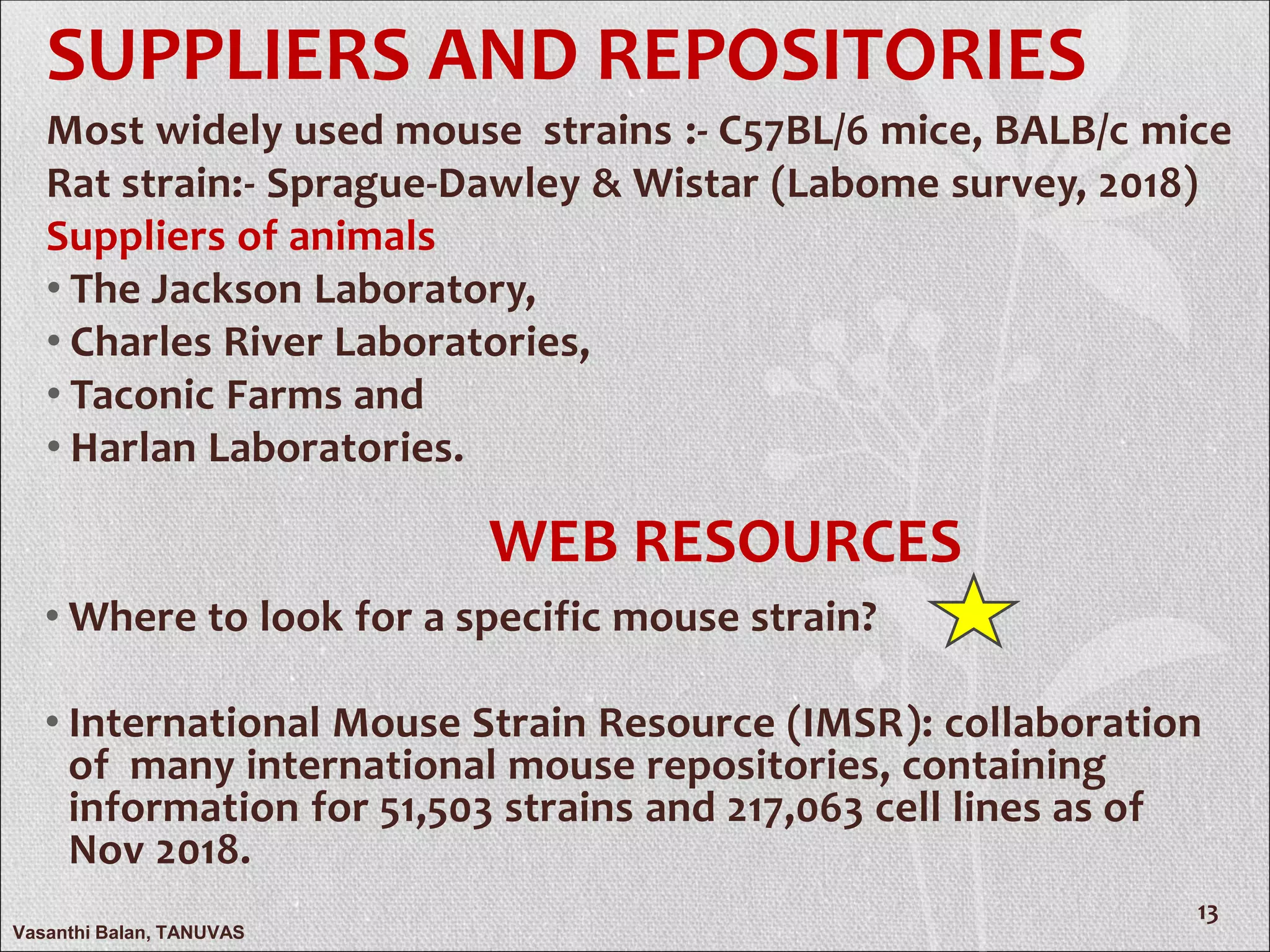 Biology of rodents (rats & mice) | PDF