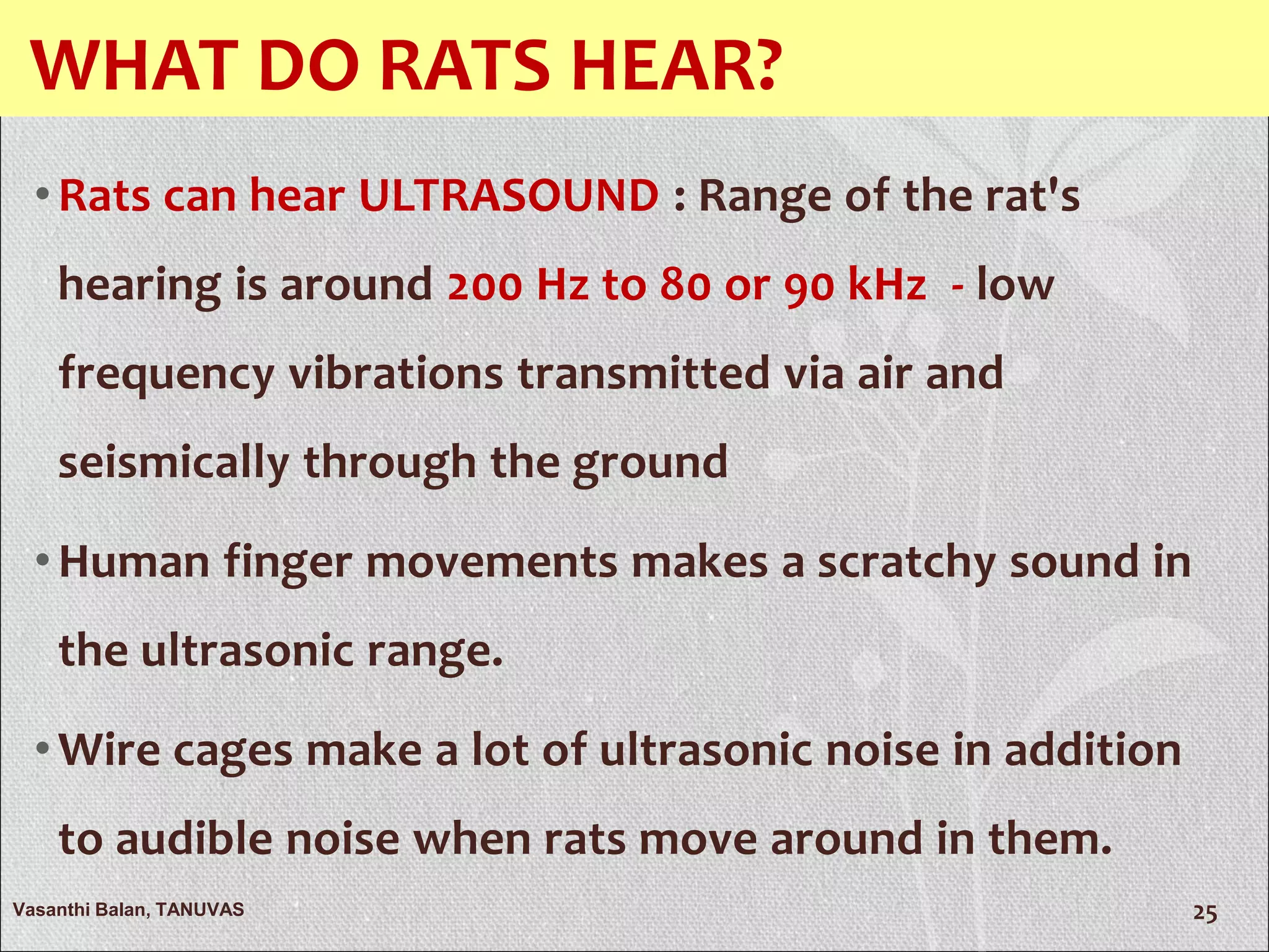 Biology of rodents (rats & mice) | PDF