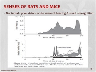 Biology of rodents (rats & mice) | PDF