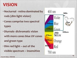 Biology of rodents (rats & mice) | PDF