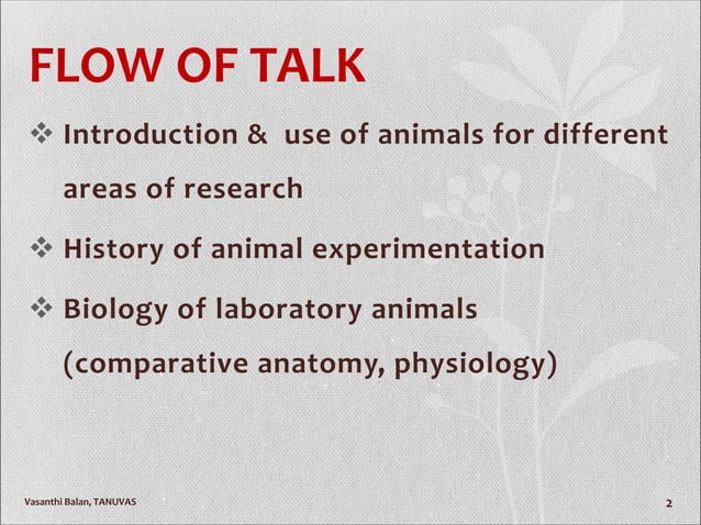 Biology of rodents (rats & mice) | PDF