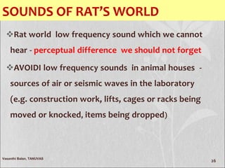 Biology of rodents (rats & mice) | PDF