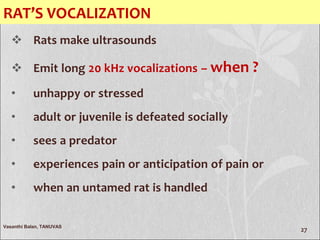 Biology of rodents (rats & mice) | PDF