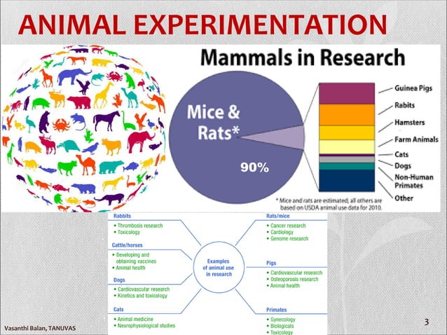 Biology of rodents (rats & mice) | PPT
