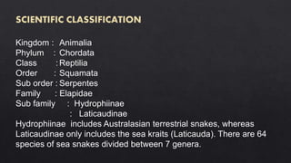 Biology of sea snakes.pptx