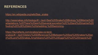 Biology of sea snakes.pptx