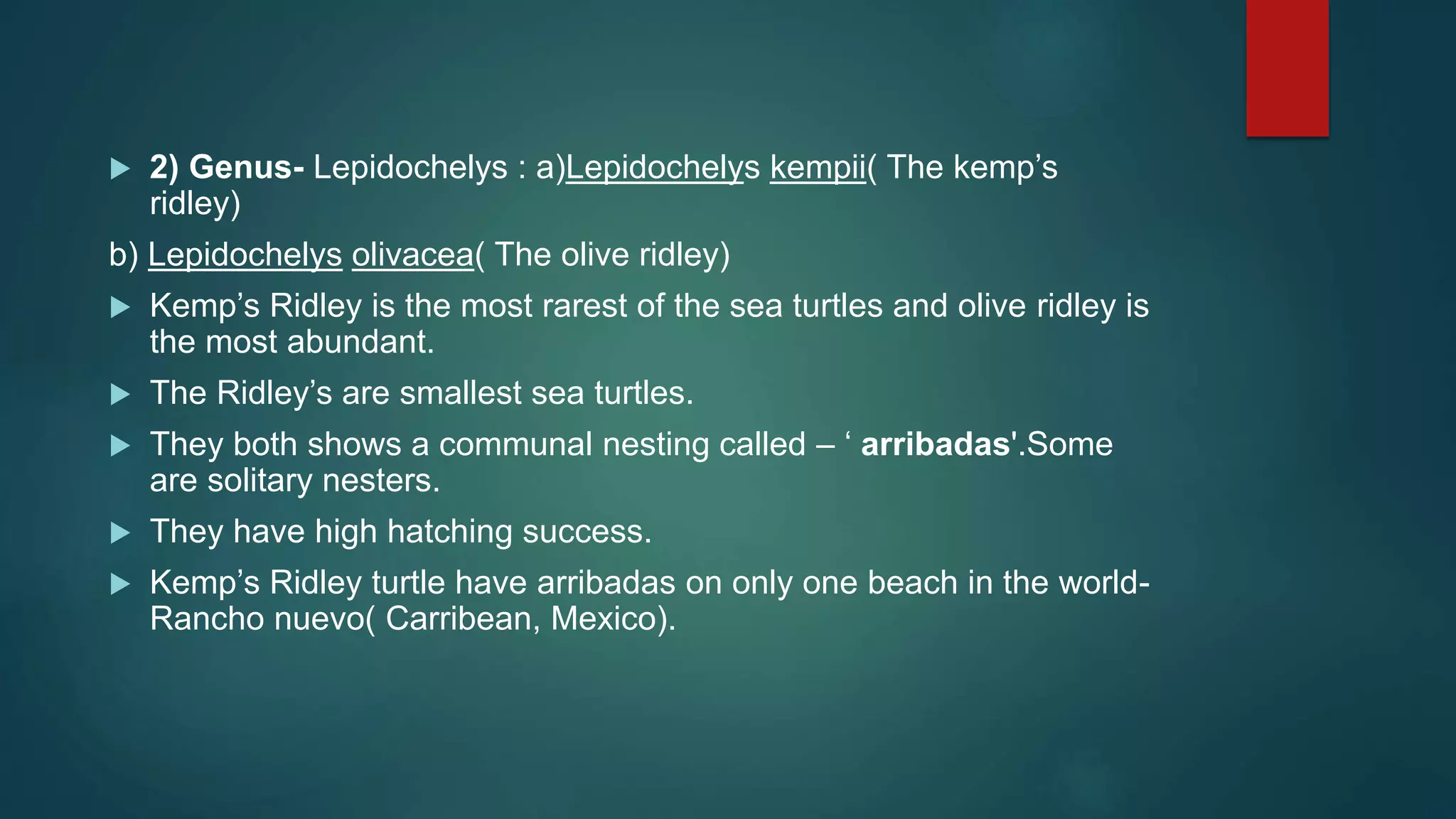 Biology of Sea Turtles ppt | PPTX | Geography | Science