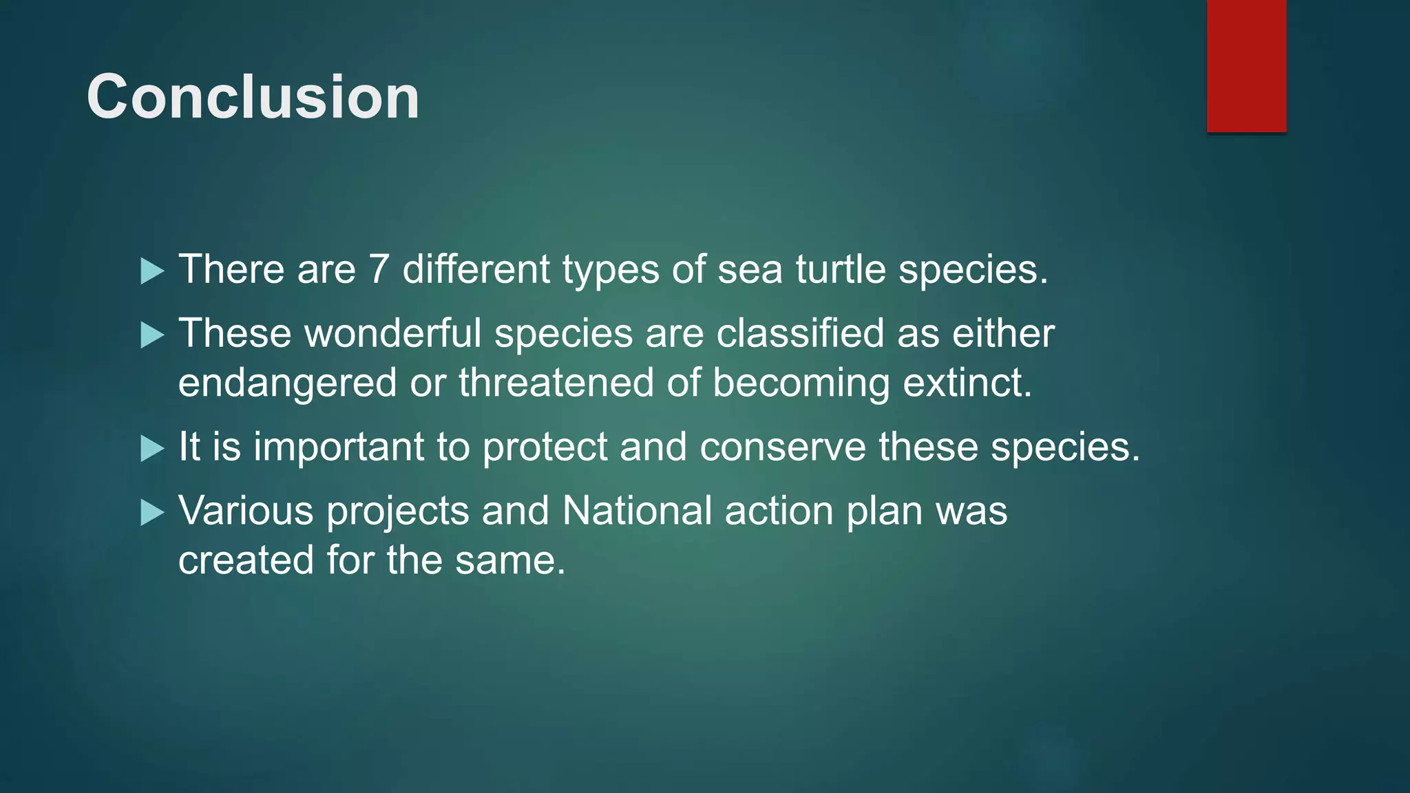 Biology of Sea Turtles ppt | PPTX