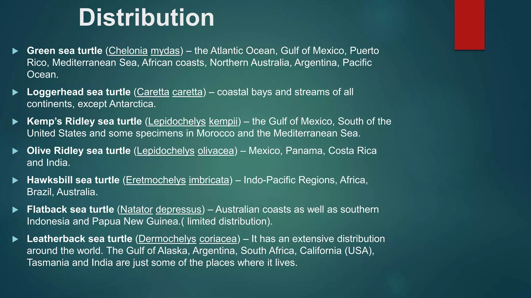 Biology of Sea Turtles ppt | PPTX