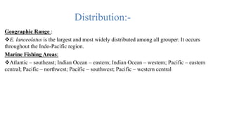 Biology of selected endangered species of fishes | PPT