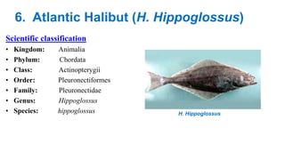Biology of selected endangered species of fishes | PPT