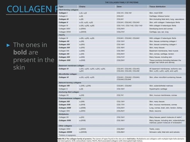 Biology of the ExtraCellular Matrix - Functions of the ECM, Components ...