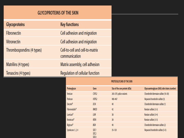 Biology of the ExtraCellular Matrix - Functions of the ECM, Components ...